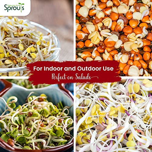 Nature Jims Radish Sprout Seeds β 16 Ounce Organic Sprouting Seeds β Non-GMO Premium Radish Seeds β Resealable Bag for Longer Freshness β Rich in Vitamins, Minerals, Fiber