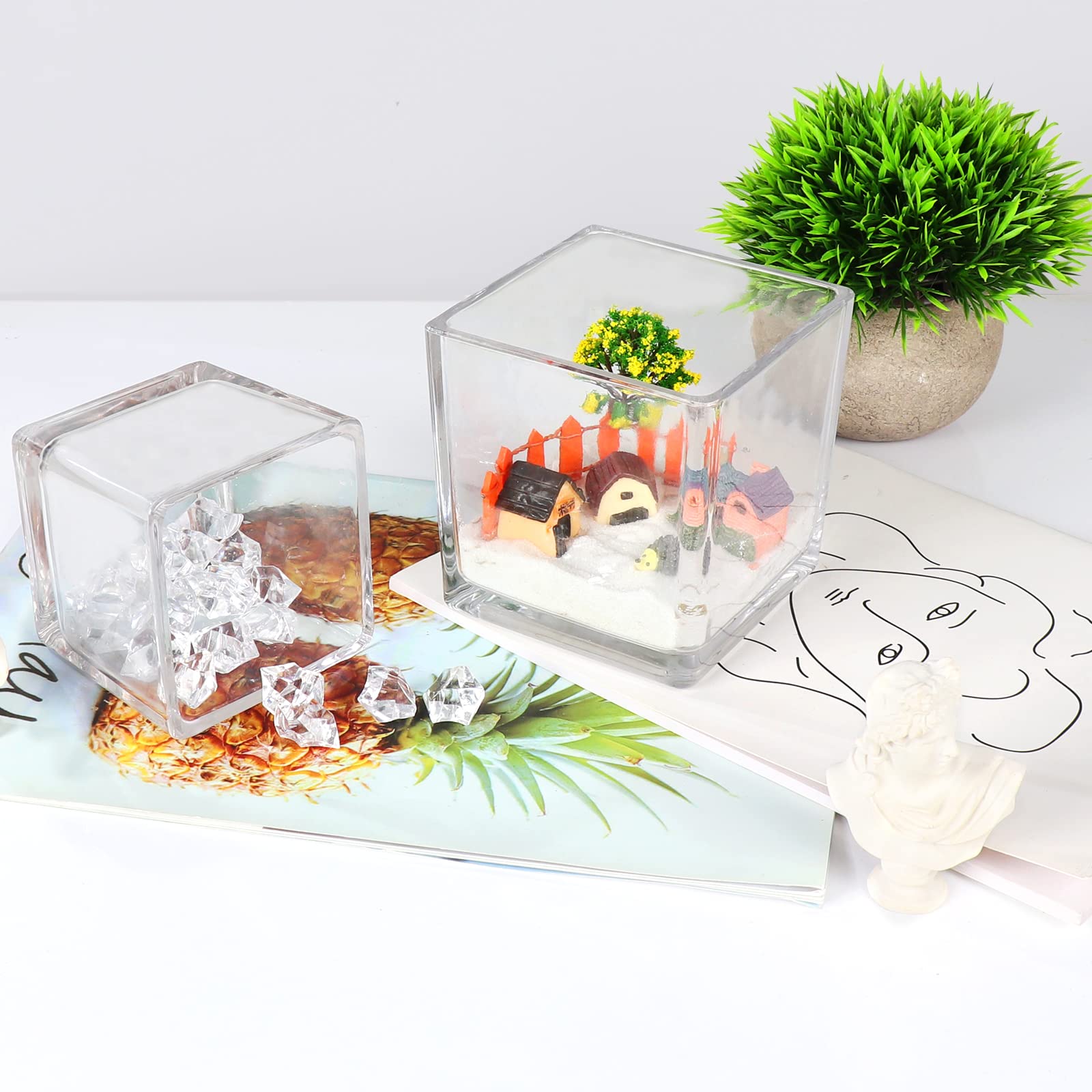 6 Pack Clear Square Glass Vases, Planter Terrarium Flowers Vase Candle Holder for Home,Garden, Wedding Centerpiece Decorations and Formal Dinners (Width 4", Height 4")