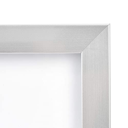 Amazon Basics Rectangular Photo Picture Frame, 8" x 10", Pack of 2, Nickel
