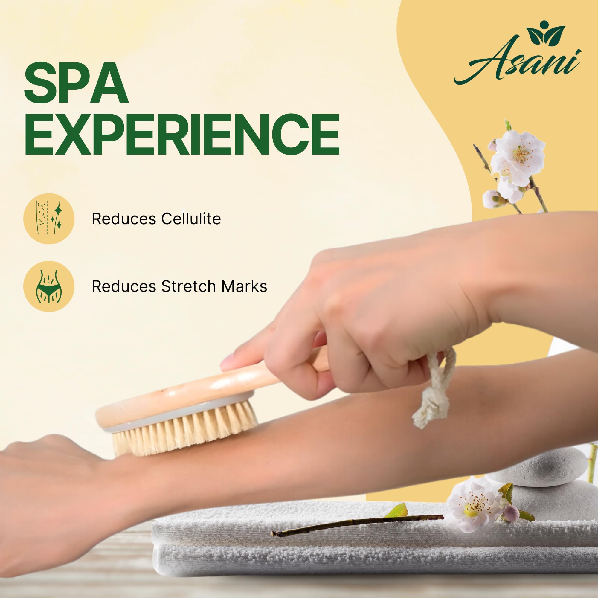 Asani Dry Brushing Body Brush Set for Lymphatic Drainage & Cellulite - 3-Pcs Detachable Back, Contour Body & Face Brushes Organic Gift for Dry Skin, Exfoliation, Invigorating Showers