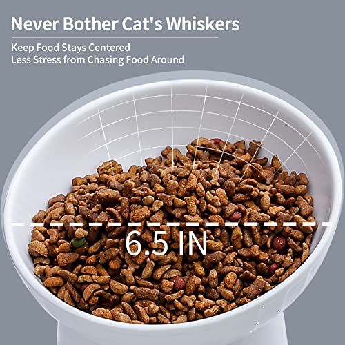 6.5 Inch Extra Wide Ceramic Raised Cat Bowl Set, Tilted Elevated Cat Bowls for Food and Water, Anti Whisker Fatigue, Stress Free, Anti Vomiting, Protect Spine, Lead & Cadmium Free, White & Grey