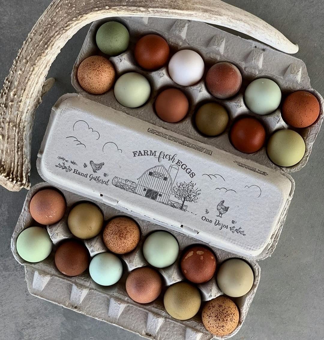 20 Egg Cartons – Adorable Printed Vintage Design Flattop Carton for your Farm Fresh Eggs, 100% Recycled & Eco-friendly Cartons, Sturdy & Reusable, Holds Small to XL Chicken Eggs