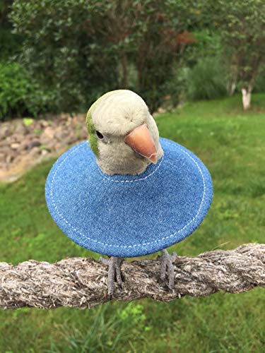 HEZHUO Adjustable Parrot Cone Collar, Safe and Practical Cotton Collar to Prevent Bites and Licking Wounds, to Help heal (XS)