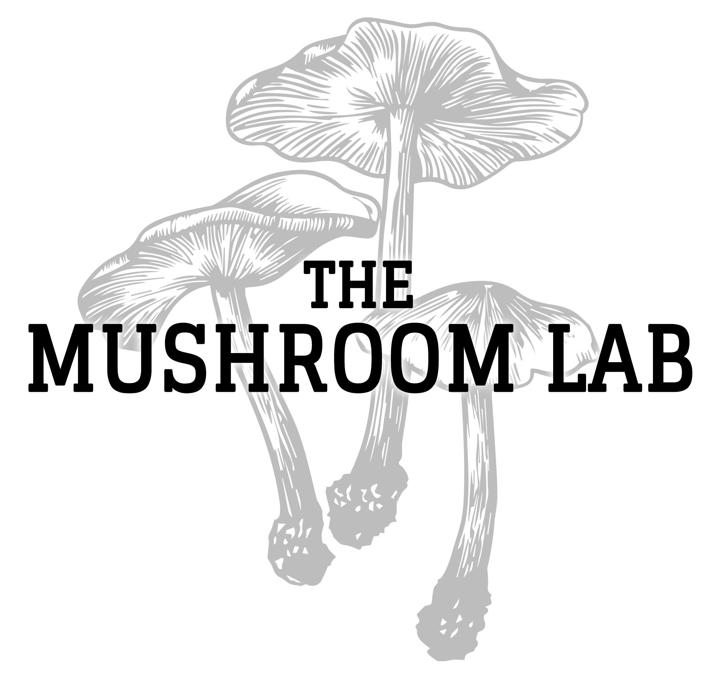 Mushroom Liquid Culture - Black Pearl King (Pleurotus eryngii/ostreatus)