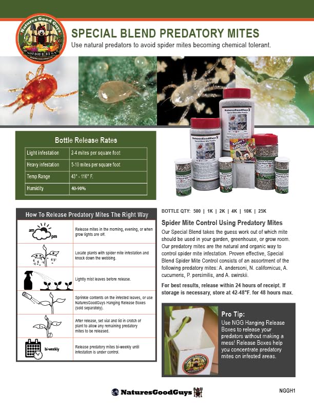 25,000 Predatory Mite Blend
