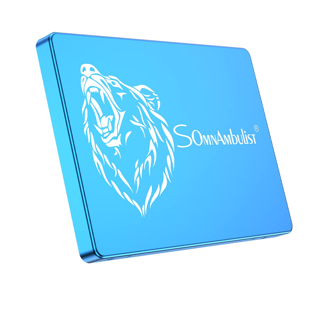 Somnambulist Laptop/Desktop SSD 2.5" SATA3 120gb 240gb 60gb SSD Solid State (Blue Bear-120GB)