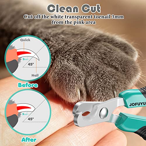 Cat Nail Clippers - Professional Cat Nail Trimmer – Angled Blade Pet Nail Clippers for Dogs Rabbit Kitten Ferret - Safe, Sharp