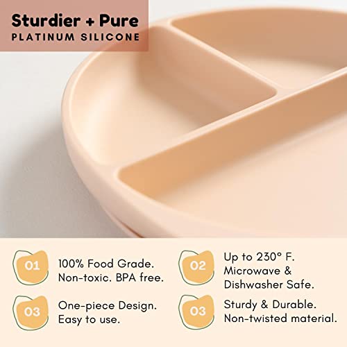 RAiN.B. MellowMate Pure Platinum Silicone Suction Plate for Baby & Toddlers|Divided Baby Dish with 3 Compartments|BPA-Free Non-Slip Baby Eating Supplies|Microwave & Dishwasher Safe – Cloudy Grey