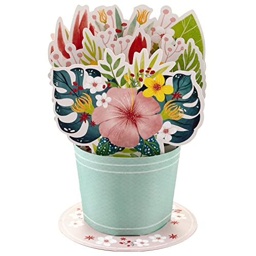 Hallmark Paper Wonder Pop Up Card for Mothers Day, Graduation, Administrative Professionals Day or Nurses Day (Displayable Bouquet)