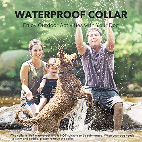 DOG CARE Dog Training Collar with Remote - Rechargeable Training Collar with Beep, Vibration and Shock Training Modes, Dog Collar for Large Medium Small Dogs, Rainproof E-Collar for Dogs