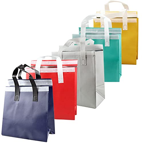 AIVYGDEN 60pcs Insulated Take Away Bags,Thermal Insulation Food Bag for Coffee,Milky Tea,Take-away Dinner,Fresh Seafood,Cold or Warm Food drive for Restaurant,Retail Store or Picnic/BBQ (five colors)