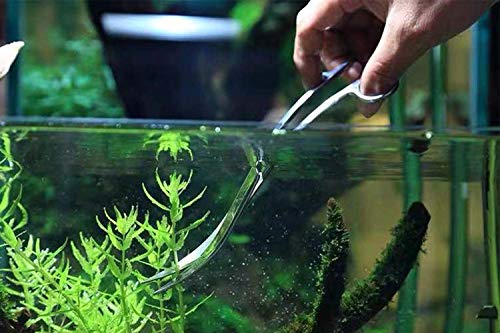 JIAYOUXILE Aquarium Scissors-Aquarium Fish Tank Stainless Steel Mirror Wave Scissors ,Professional Water Grass Scissors Landscape Maintenance Tools ,Perfect for Aquarium TankAquarium Plant Tool .