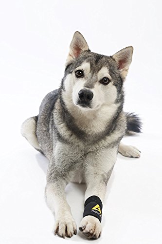 AGONĀ® Dog Canine Front Leg Brace Paw Compression Wraps with Protects Wounds Brace Heals and Prevents Injuries and Sprains Helps with Loss of Stability Caused by Arthritis (Small/Medium)