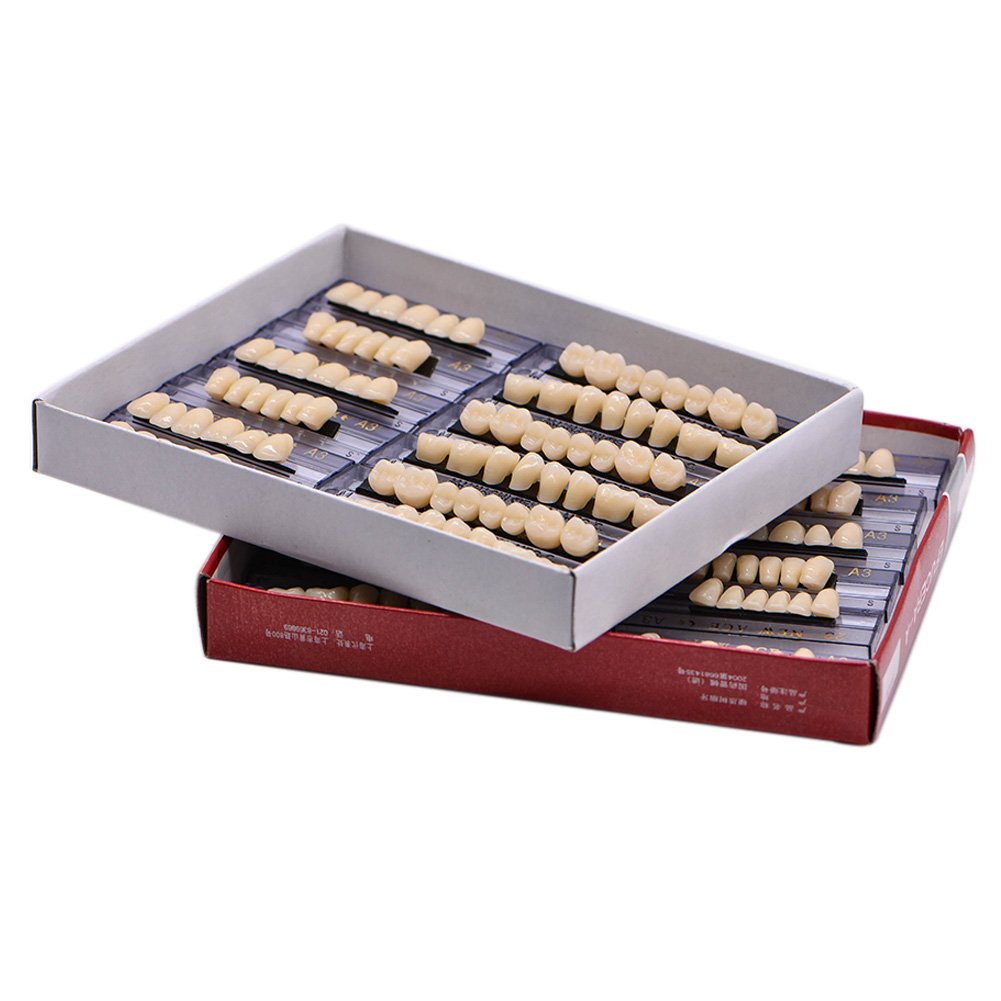 RZJZGZ 168 Pcs Dental Synthetic Resin Tooth Denture Temporary False Teeth 6 Sets False Teeth 23 A2
