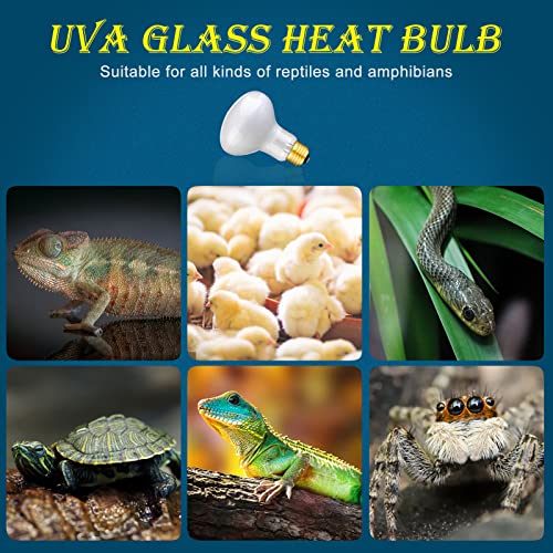 HANJION 2 Pack 75W Reptile Heat Lamp Bulb, UVA Infrared Basking Spot Light, White Glass Soft Daylight Heat Bulbs for Bearded Dragon, Lizard, Tortoise, Hedgehogs Reptiles & Amphibians