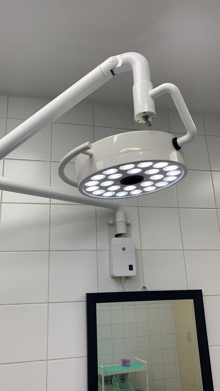 72W LED Stomatology Cold Light Shadowless Lamp Surgical Wall-Mounted Lamp Beauty Tattoo Pet Surgery Shadowless Light 24 Bulbs