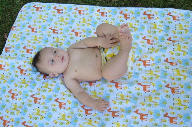 KaWaii Baby Waterproof Change Mat, Reusable, Changing Pad for Bed, Travel, Bed and Stroller Sheet, Mattress Protector, Zoo, 19.5 x 27.5" Newborn to 12 Months