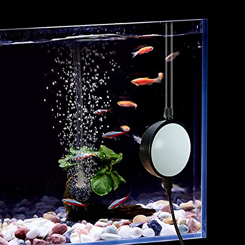 Quiet Mini Air Pump for Aquarium 1.0 Watt Fish Air Pump for 1-20 Gallon Fish Tank with Accessories，Adding Oxygen to Ornamental Fish