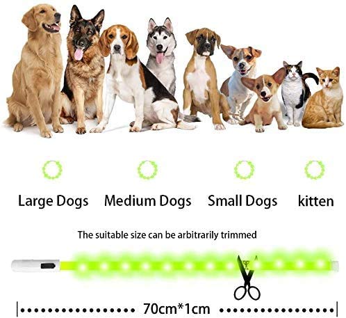 LaRoo LED Light Up Dog Collar, Cutable Silicon USB Rechargeable Glow Light Collar for All Dogs, Waterproof 3-Modes Flashing Dog Collar for Dark Outdoor Training Playing (27.5 inch/70cm)