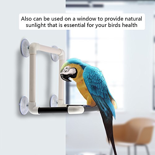 Bird Parrot Shower Perch, Portable Birds Bath Stand Toy with 4 Suction Cups, Plastic Parrot Window Shower Wall Rack Platform for Parakeet Lovebirds Macaw Cockatiel Cockatoo, White