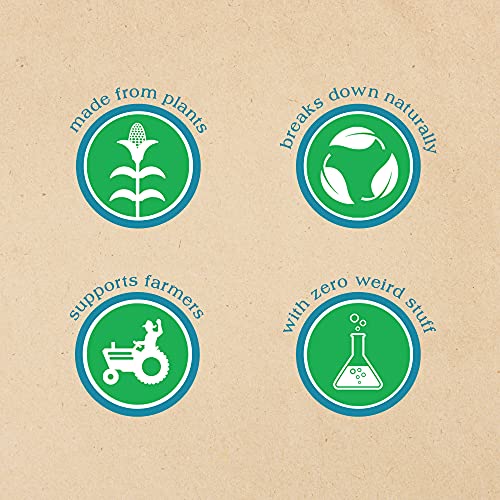 Earthwise Natural Biodegradable Dental Flossers - 50 ct (3 Pack) - Eco-Friendly, Vegan, Sustainable, Compostable, Unflavored, Shred Resistant, Zero Waste Floss Picks - Made with Plant Based Materials