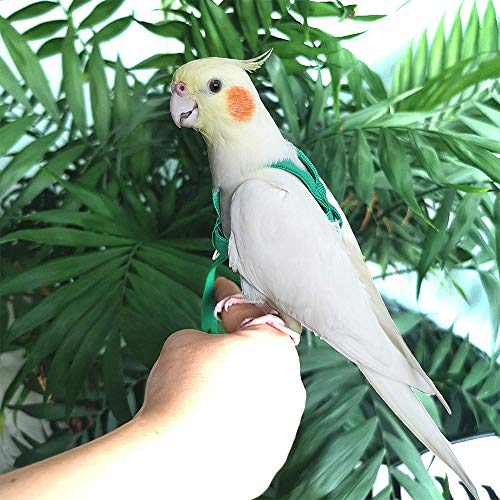 ASOCEA Adjustable Feather Tether Bird Harness and Leash for Macaw Cockatoos Amazon Parrot Medium to Large Breed Parrots Fits Birds Chest Between 33-50cm/13-19.7inch - M