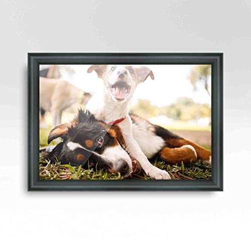 33x26 Frame Black Real Wood Picture Frame Width 1.25 Inches | Interior Frame Depth 0.5 Inches | Rolio Modern Photo Frame Complete with UV Acrylic, Foam Board Backing & Hanging Hardware