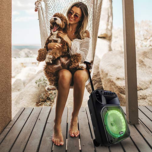 Axess Portable Wireless Bluetooth Speaker — 8 Inch Woofer & 1.5" Tweeter, TWS Link+, Wireless Microphone FM Radio Aux USB and Mic Inputs, Stereo Sound System Speakers with LED Lights Model PABT6038