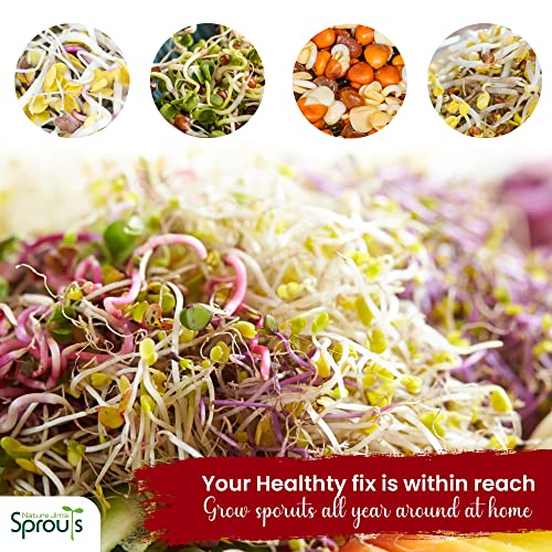 Nature Jims Radish Sprout Seeds β 16 Ounce Organic Sprouting Seeds β Non-GMO Premium Radish Seeds β Resealable Bag for Longer Freshness β Rich in Vitamins, Minerals, Fiber