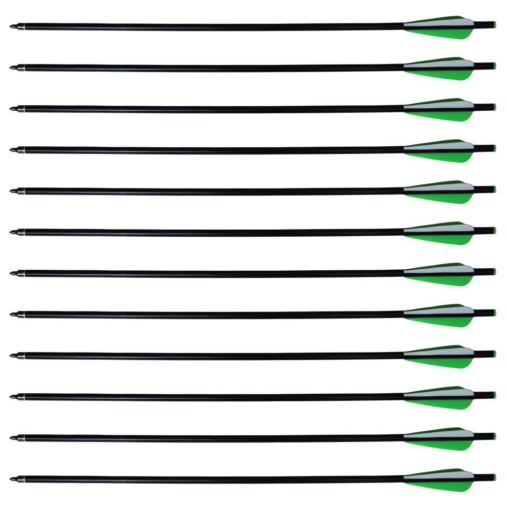 12Pcs 17" Fiberglass Crossbow Bolts Arrows with Replaceable Screw-in Broadhead Flat Nocks for Archery Hunting Target Practice
