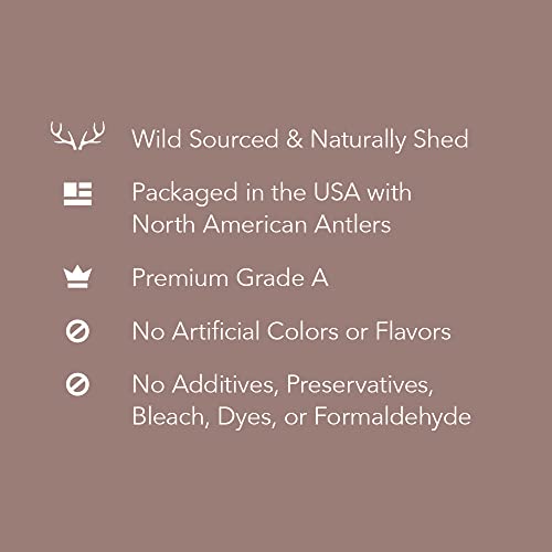 Amazon Brand – Wag Split Elk Antler, Naturally Shed, Medium 6–7.5 inches