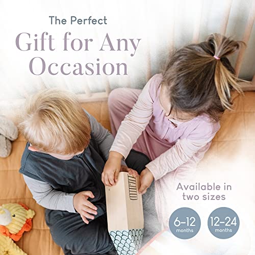MK & CO. ORGANICS Sleep Sack - Unisex Sleep Sack Made of Soft Viscose Made Rayon (Mulberry Mist, 12-24 Month)