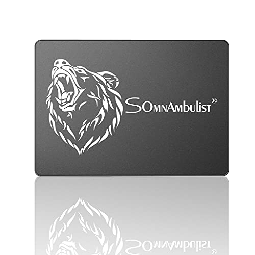 Somnambulist 2.5 inch SATA 3 60GB 960GB 2TB SATA3 SSD Laptop Internal Hard Drive (Black Bear-60GB)
