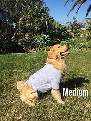 Short Sleeve Shirt for Dogs New! from POP FOR PETS (Large Red) - Better Than The Cone! POPforPETS Cotton Shirt for Larger Dogs. The Most Comfortable Alternative for Recovery!