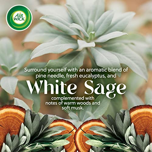 Air Wick Plug in Scented Oil Refill, 5ct, White Sage & Mahogany, Air Freshener, Essential Oils