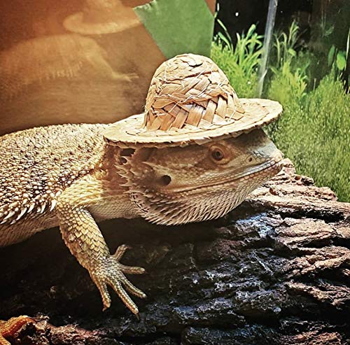 4 Pack Lizard Clothes for Bearded Dragons Straw Hat Set Reptile Apparel Handmade Sleeveless T-Shirt Vest Skin Protection Photo Party for Lizard Bearded Dragon Crested Gecko Chameleon (L, 4 Pack Set)