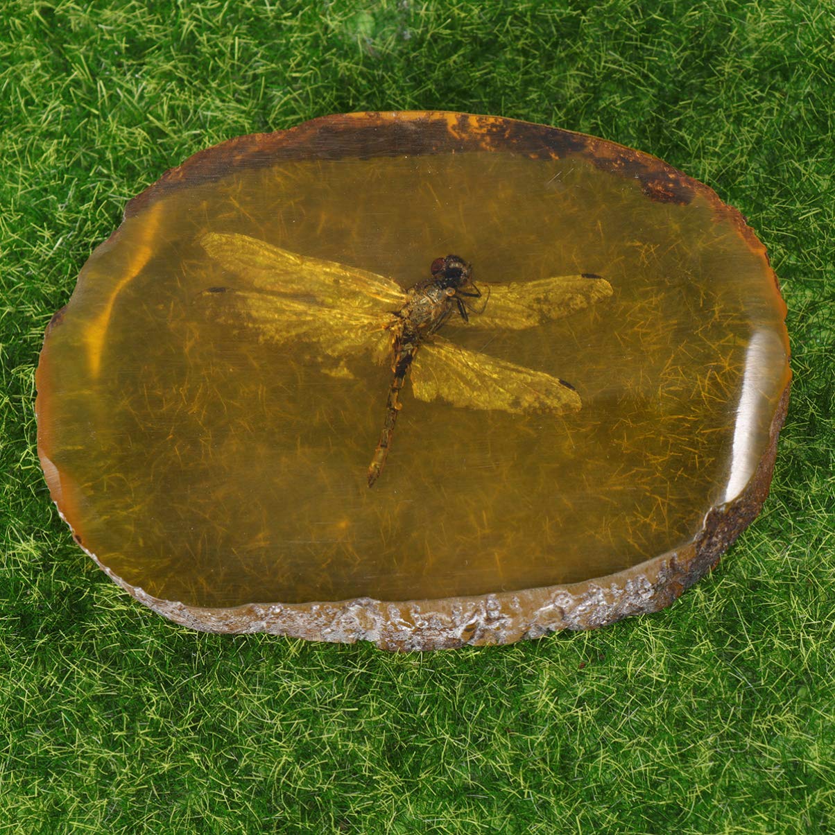 Amber,Artificial Amber Specimen Pendant Butterfly Scorpions Insects Amber Stone Ornament for Collection(Dragonfly)