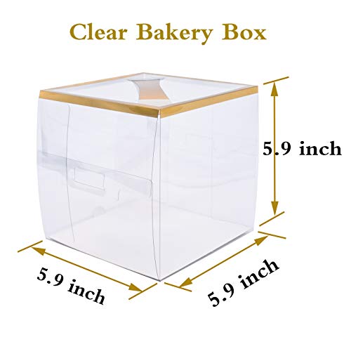 Zealax Cake Boxes with Cake Boards 6 Inch, 10pcs Clear Cake Box Storage Container Plastic Bakery Boxes for Packaging Small Cake Dount Chocolate, Gift Box for Wedding Party Graduation