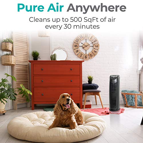 Alen T500 Air Purifier, Quiet Air Flow for Large Rooms, 500 SqFt, Portable Air Cleaner for Allergens, Dust, Pollen, Pet Dander, in Black