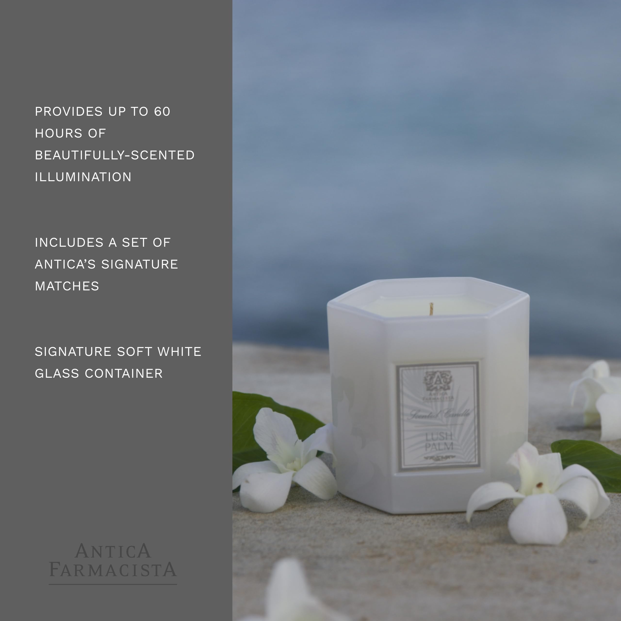 Antica Farmacista Scented Candle, Lush Palm, 9 Ounce
