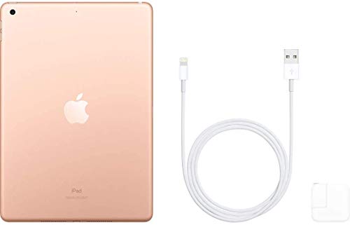 2019 Apple iPad 7th Gen (10.2 inch, Wi-Fi + Cellular, 128GB) Gold (Renewed)