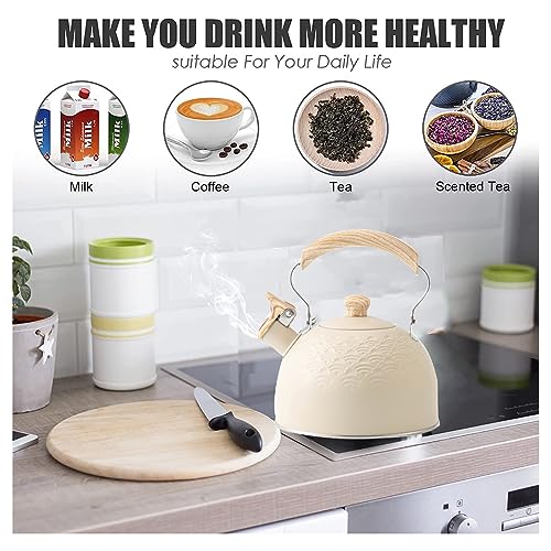 2.5L Stainless Steel Tea Kettle Teapot with Foldable Anti-Heat Handle,for Gas Hobs, Induction and Electric Hobs▂19 * 23cm/7.48"*9.06"