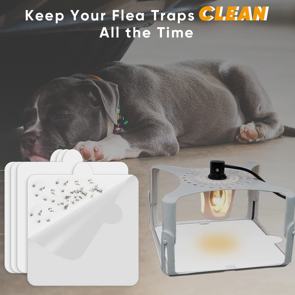 25 PCS 6" Flea Trap Refills Compatible with Terro T230 T231 Indoor Electric Flea Light Flea Trap and Flea Killer, Flea Trap Refill Discs Replacement Glue Boards