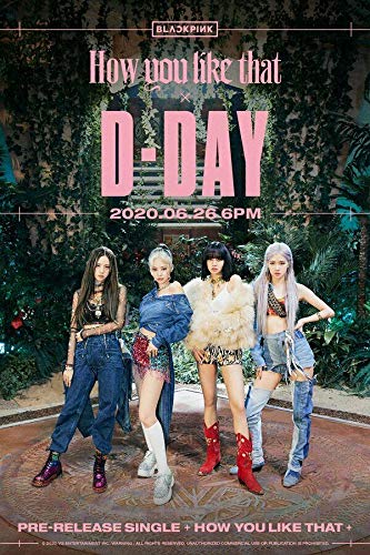 Blackpink 'How You Like That' Special Edition CD+1p Double Sided Poster+1p Folded Poster On Pack+132p PhotoBook+1p Post+1p Polaroid+Message PhotoCard Set+Tracking Kpop Sealed