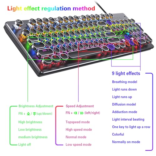 HAMIO Mechanical Gaming Keyboard with 9 RGB LED Rainbow Backlit 100% Anti-ghosting Keyboard with Blue Switches for Windows PC/MAC Games (Back(Square keycap))