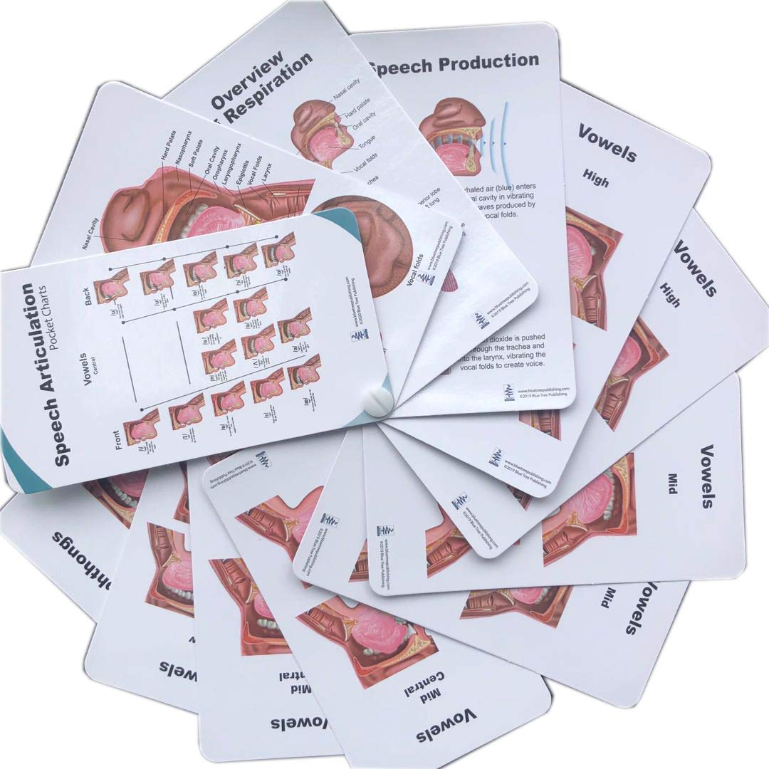 Blue Tree Publishing Speech articulation Anatomy Pocket Charts