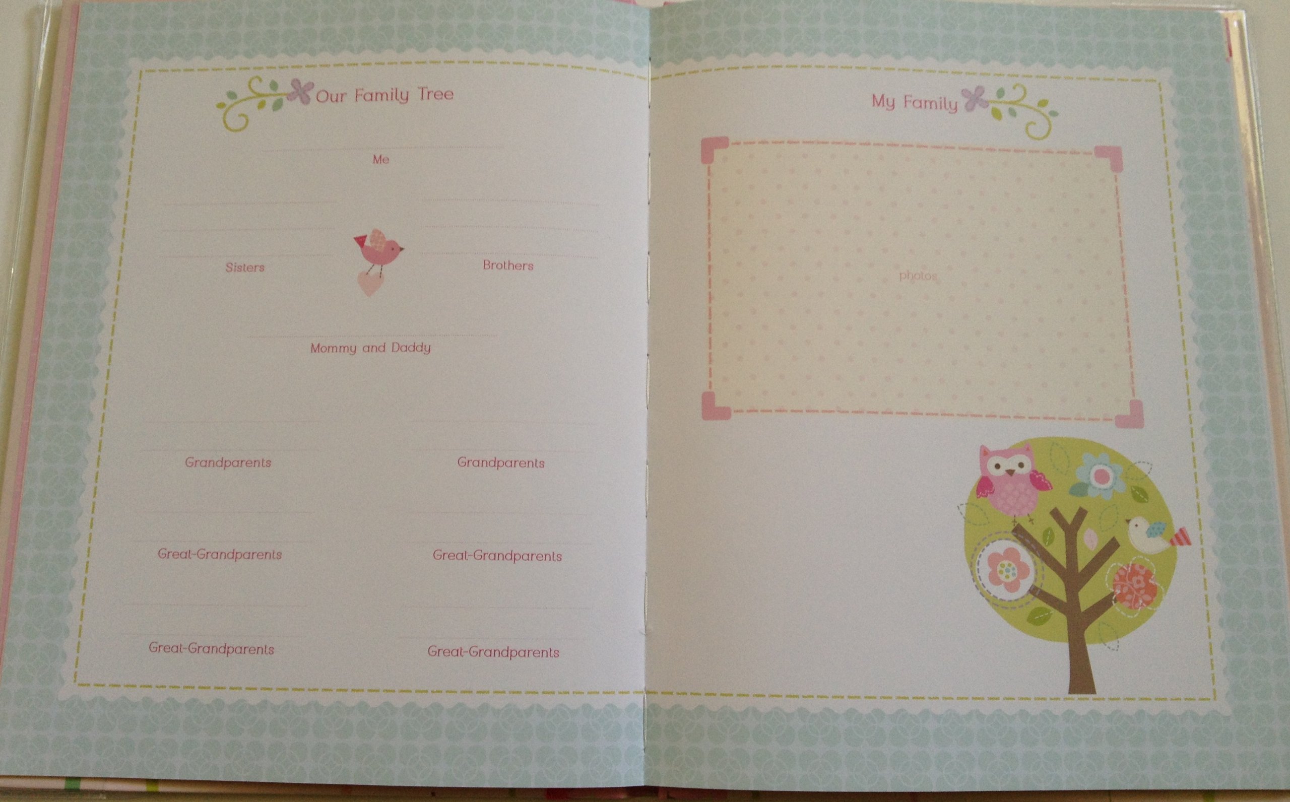 Baby's First Memory Book "Look Whoo's Adorable" Pink W/flowers, Owls, & Bird