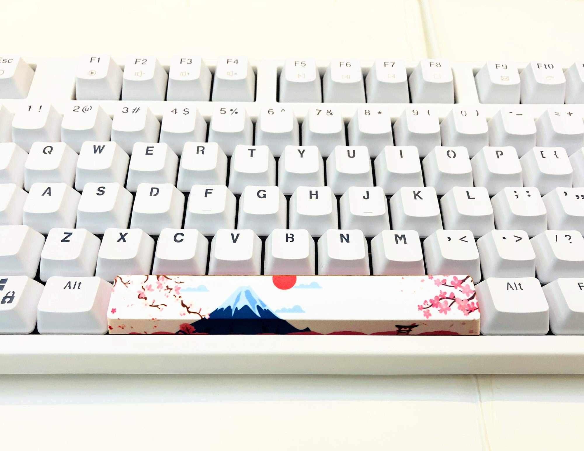 Mount Fuji Pink Sakura 6.25u Spacebar Keycap 2.75x Shift R4/ESC PBT Keyset Dye-Sublimation Artisan Switch OEM Profile for Cherry RGB MX Mechanical Gaming Keyboards (6.25x Spacebar Keycap)