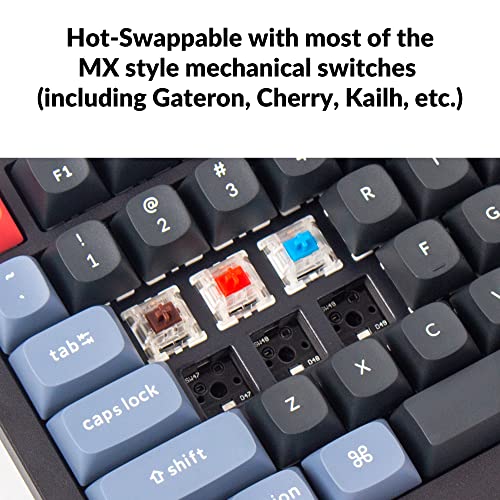 Keychron Q1 RGB Wired Custom Mechanical Keyboard, QMK/VIA Programmable Macro with 75% Layout Hot-swappable Gateron G Pro Blue Switch Double Gasket Compatible with Mac Windows Linux (Black) -Version 2