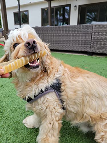 hotspot pets Premium Beef Trachea for Dogs 6" Strips Split - All Natural Grass-Fed Beef Dog Chews, Rich in Glucosamine Chondroitin for Joint Health, Single Ingredient No Rawhide Dog Treats
